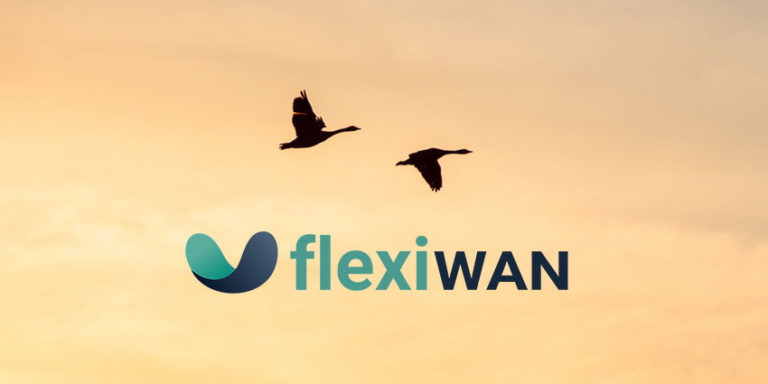 flexiWAN Introduces World-First Open SD-WAN - UC Today