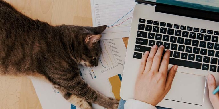 The Hottest Trends in Work from Home Tech in 2022 - UC Today