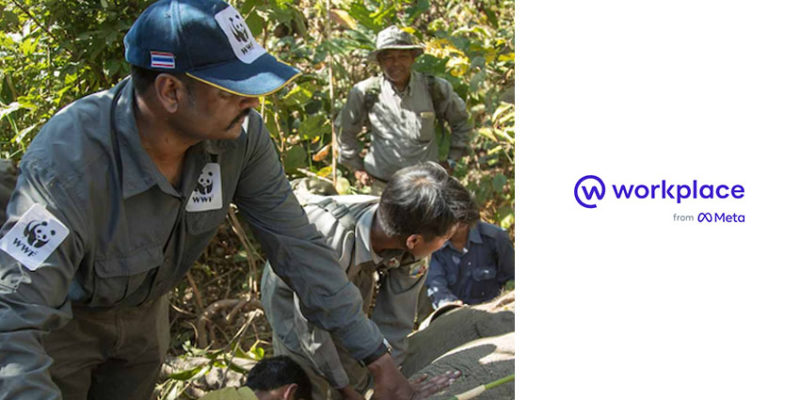 Non-Profit UC Case Study in Focus: Workplace from Meta and WWF - UC Today