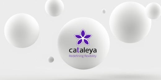 Cataleya Vendor Profile and Latest News on UC Today
